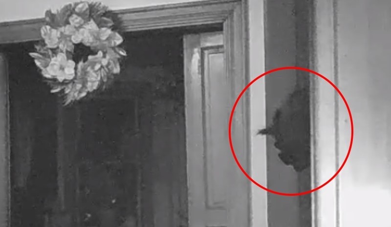House Surveillance Camera Captures A Creepy Figure Peeking Out Of The ...